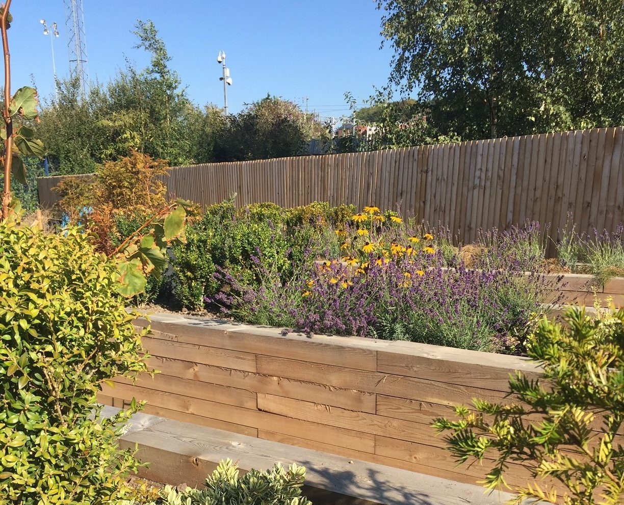 All things Green - Welcome to My Loftus