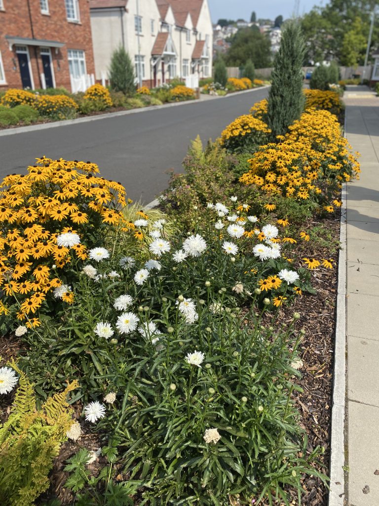 Garden Inspections - Welcome to My Loftus