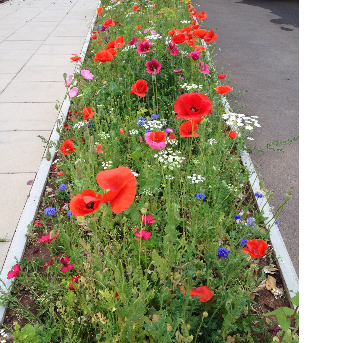 Gallery - Welcome to My Loftus