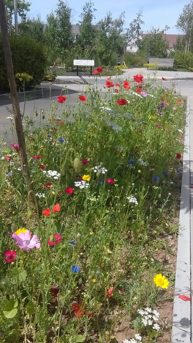 Gallery - Welcome to My Loftus